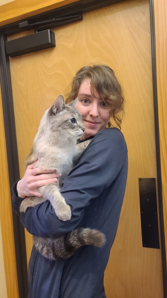 Meet Emma And The Team At Colorado Cat Clinic